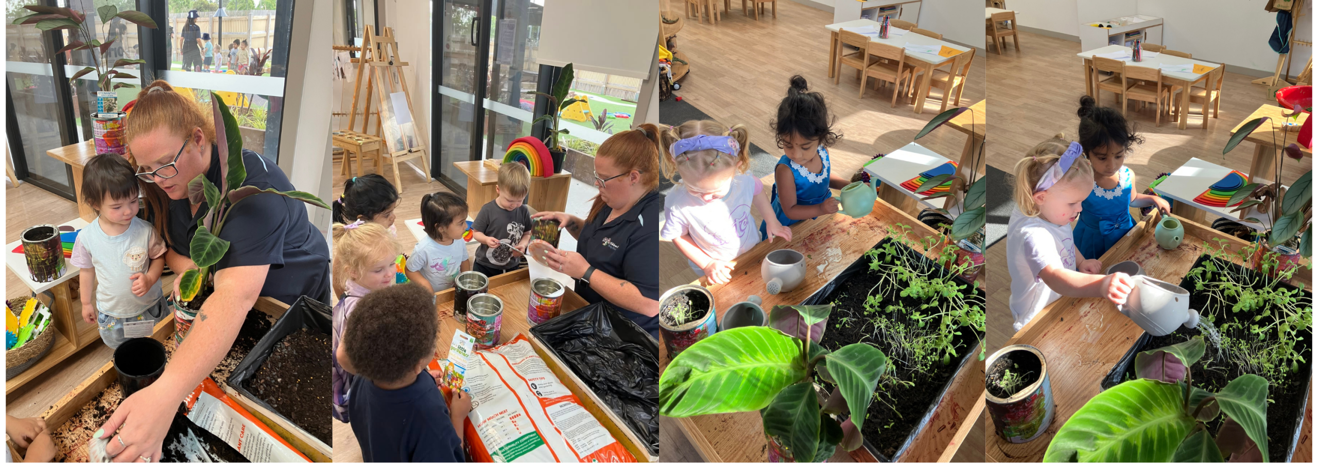 Cultivating Young Minds: The Benefits of Gardening in Early Childhood ...